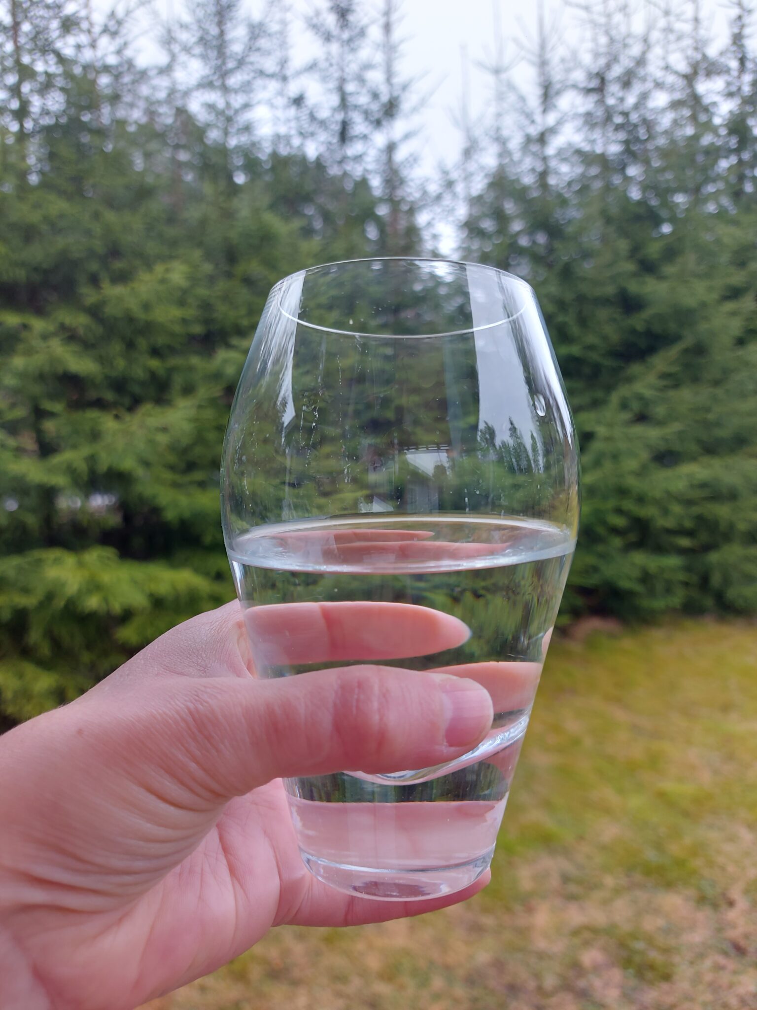 Mahla – pohjolan oma voimajuoma - Järviseudun sanomat